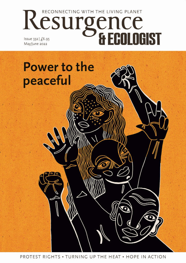 Resurgence & Ecologist Free Download | The Ecologist