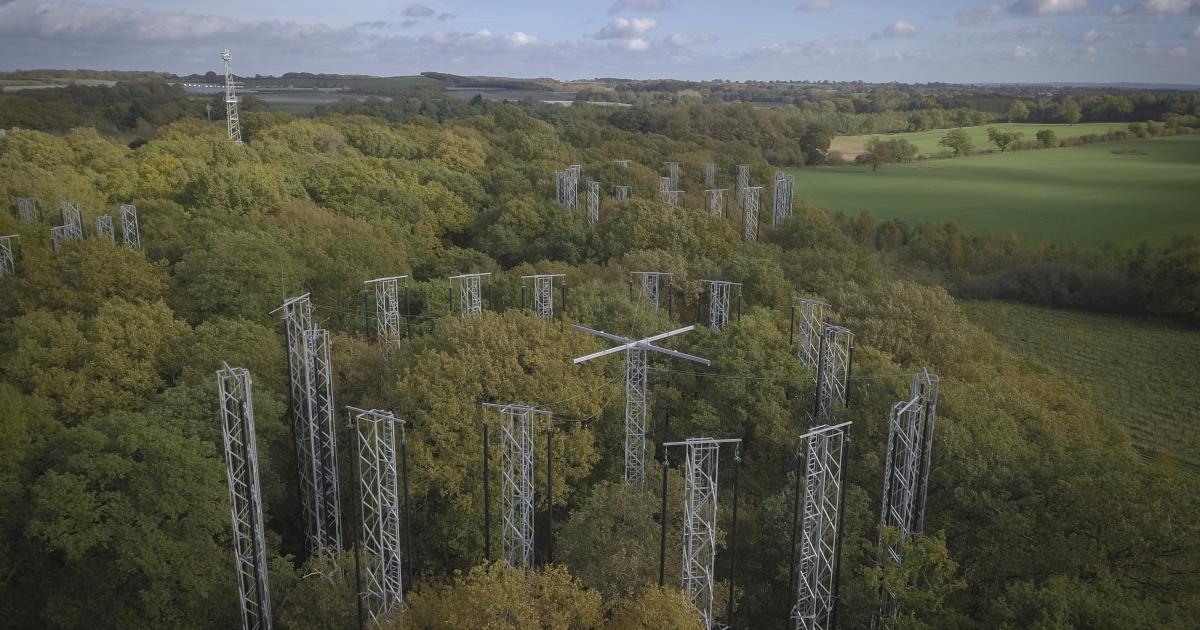 Earthwatch's 'forest time machine'