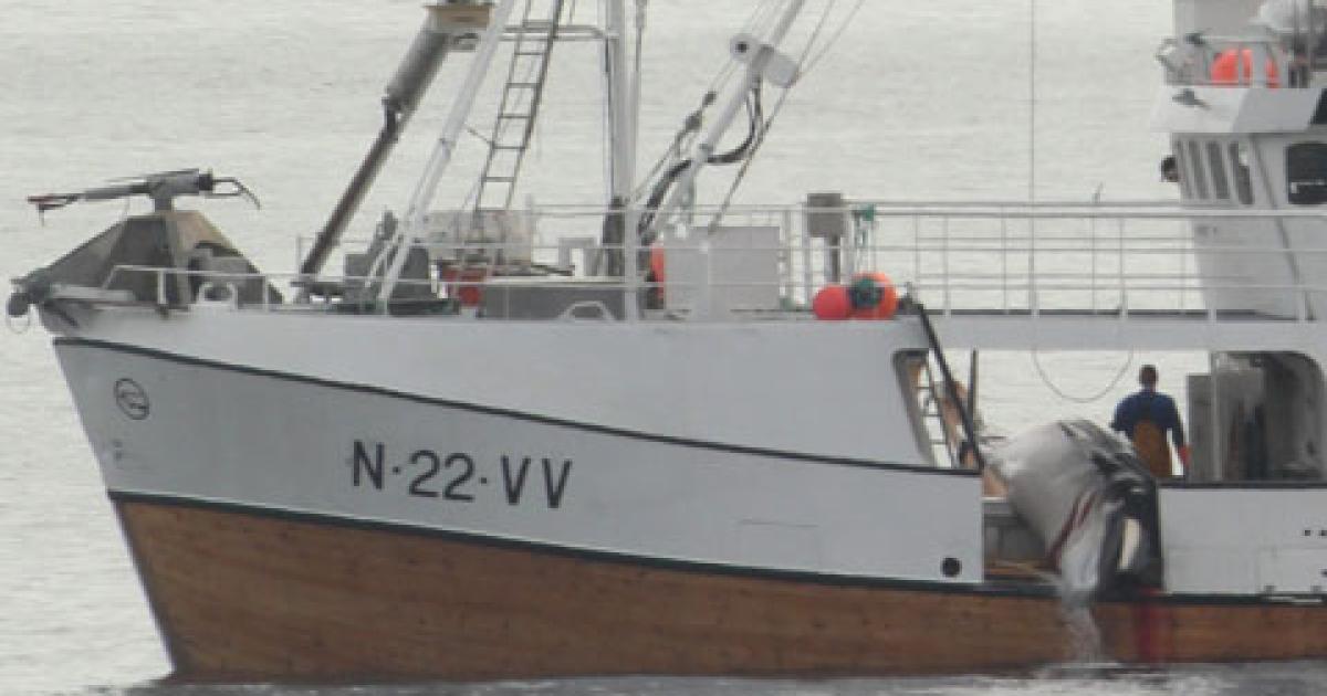 Hundreds of whales face slaughter as Norway's killing season resumes
