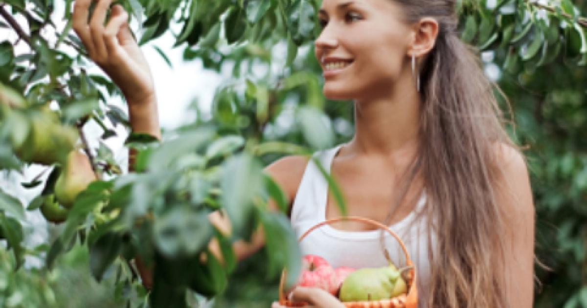 Top 10… self-sustainability courses and workshops