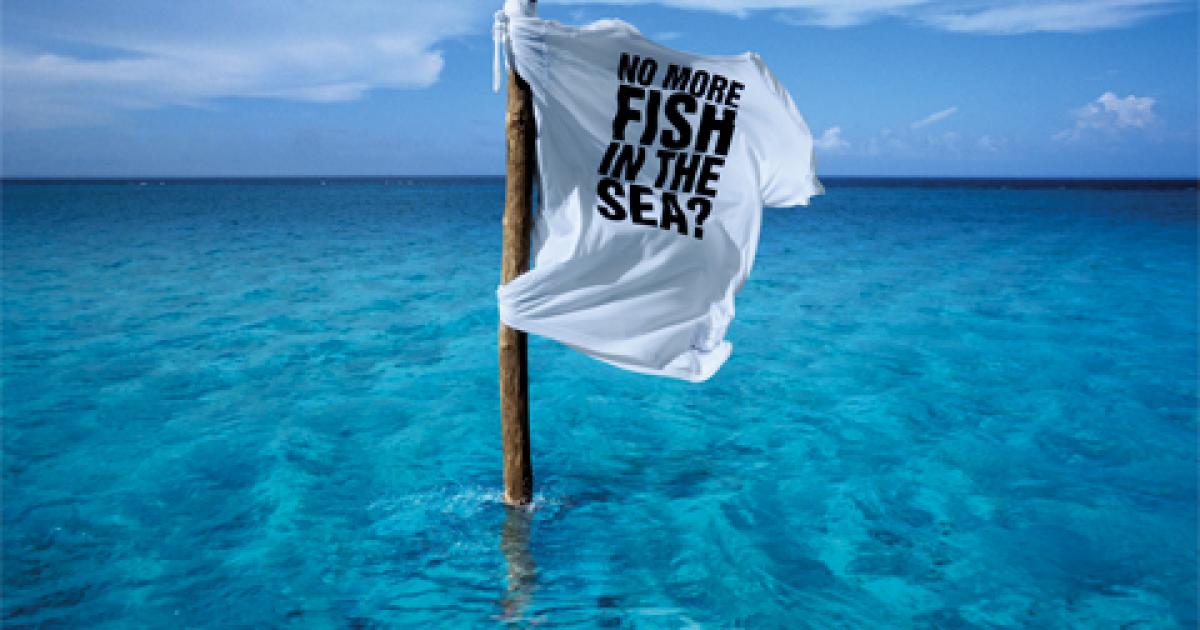 Project Ocean: Selfridges campaign to save fish, fashionably
