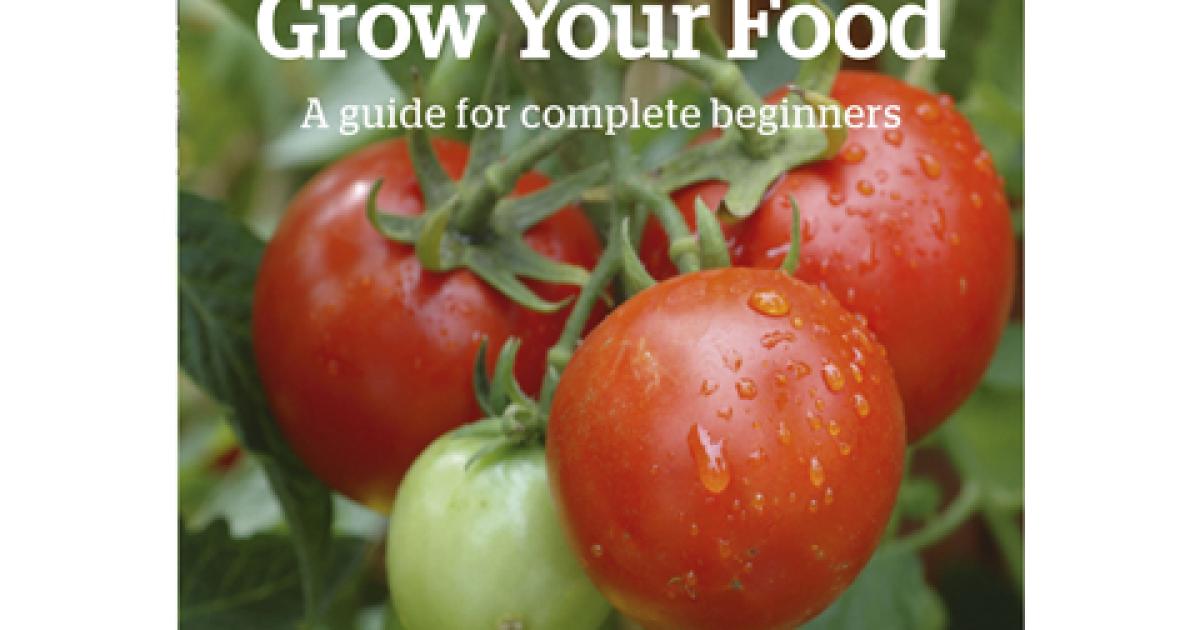 How to Grow Your Food: A Guide for Complete Beginners