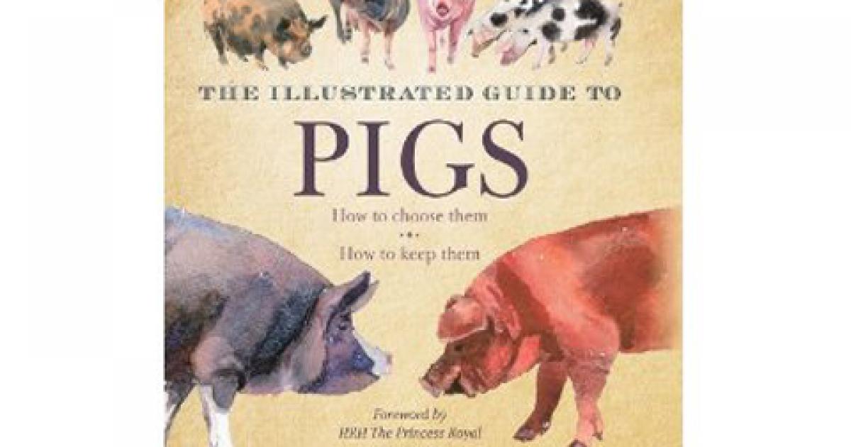 The Illustrated Guide to Pigs: How to Choose Them – How to Keep Them