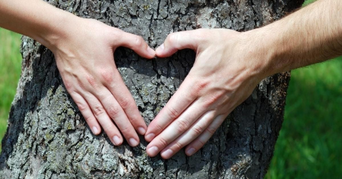 Be My Eco Valentine