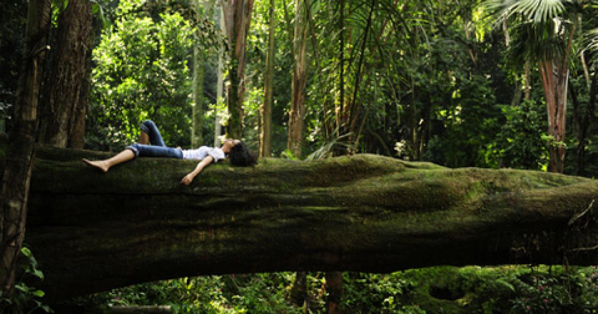 Science proves what we all know: Nature is Good for your Health!