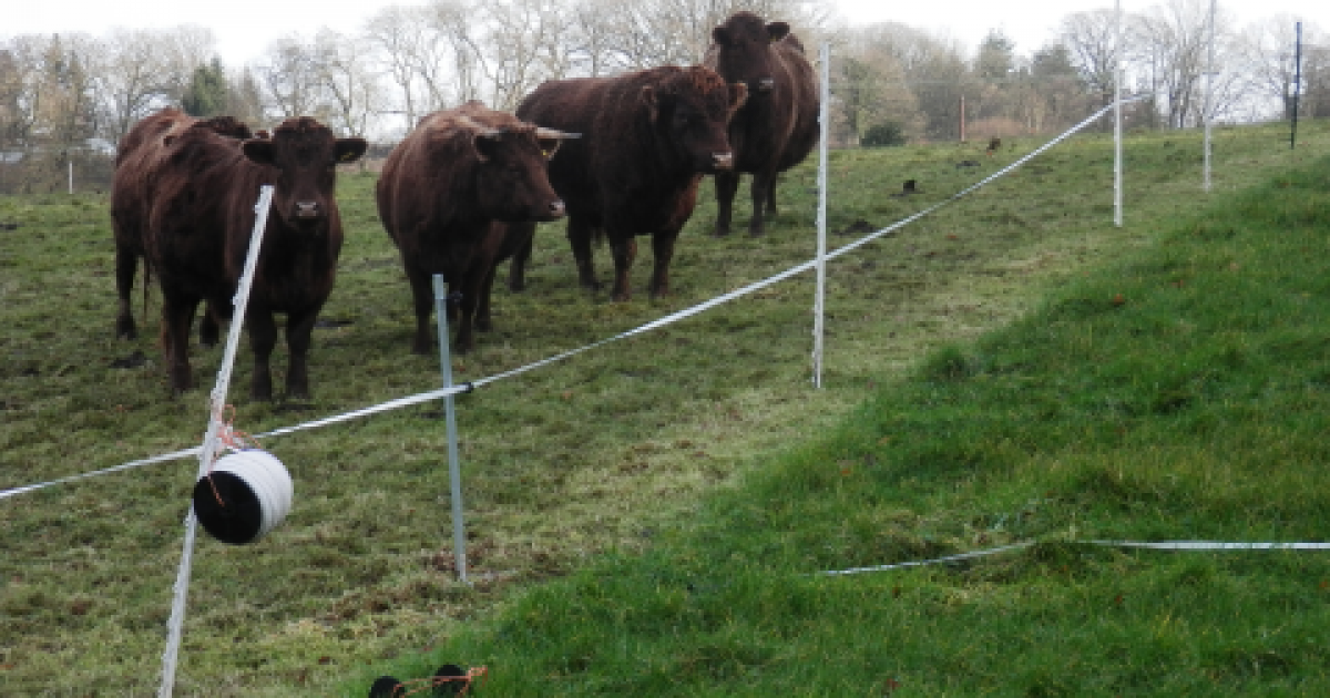 The omni-benefits of regenerative pasture