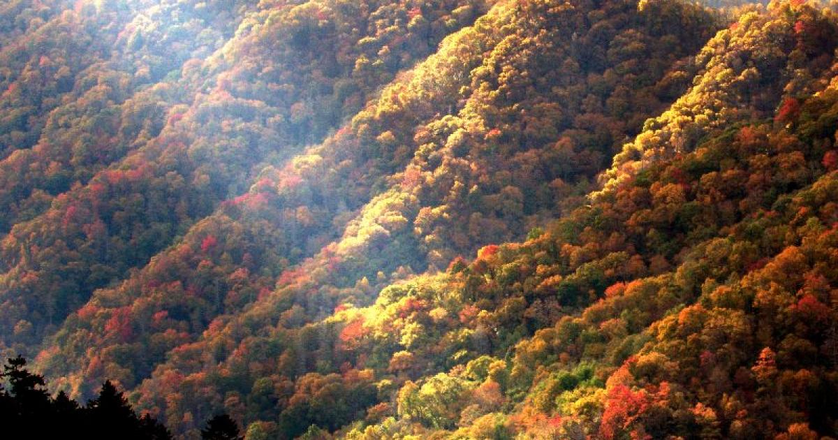 Fire, snow and mist: resilience and the way of the Smoky Mountains