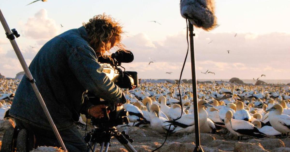 Listen up! Soundscapes reveal nature's ecological secrets