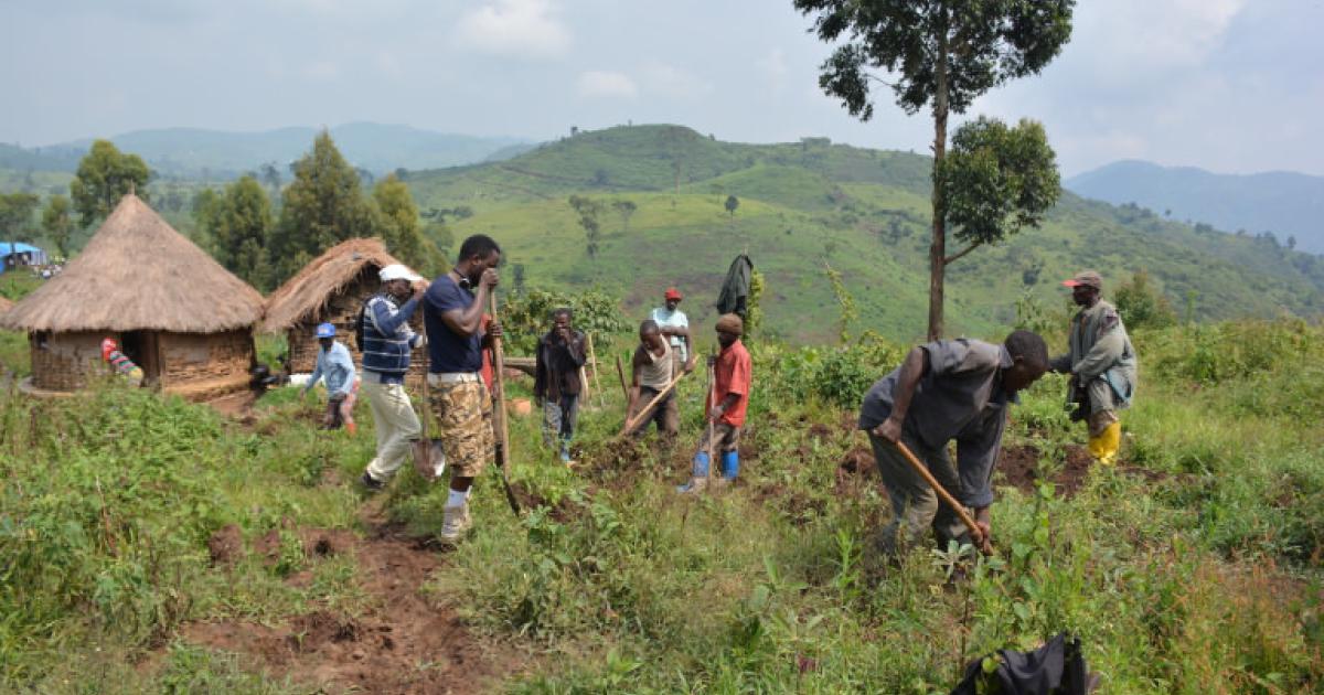 Displaced in the DRC: Finding a home for the Batwa