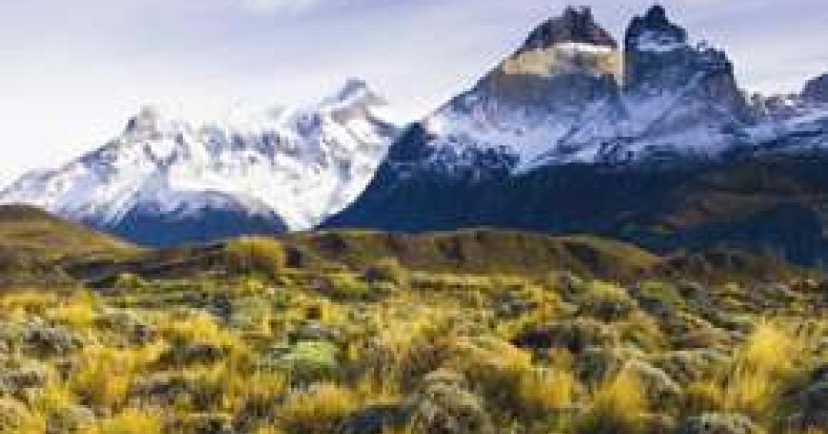 A global land-grab