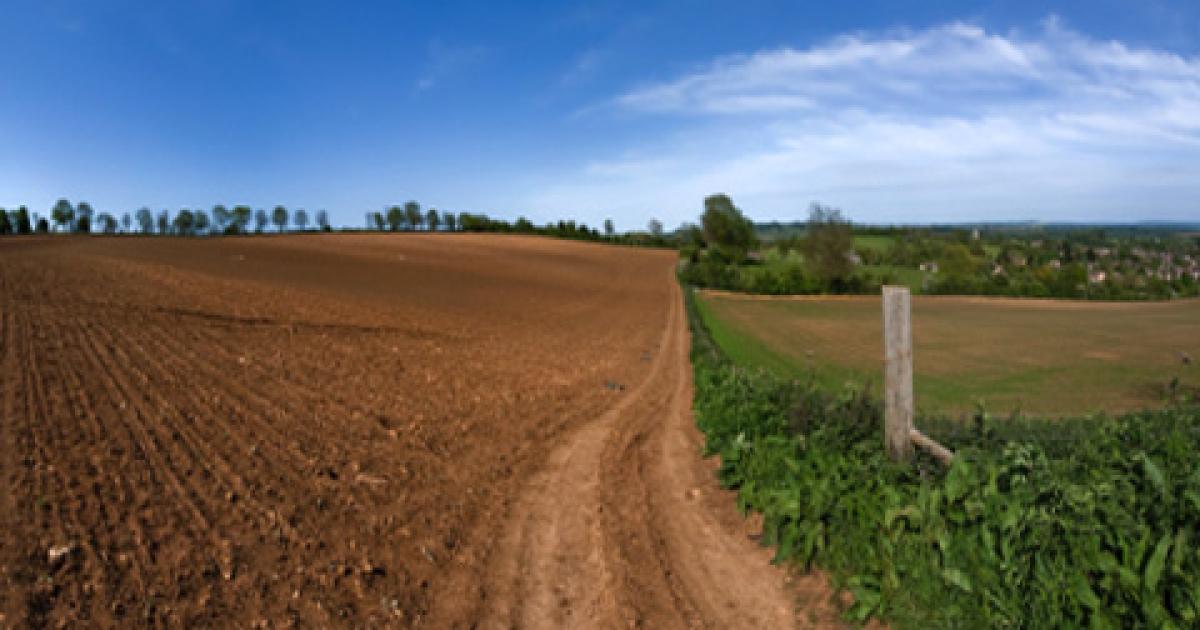 Change farming to cut CO2 emissions by 25 per cent