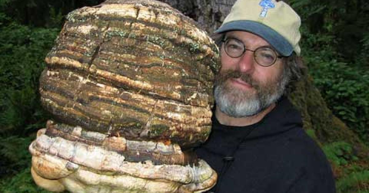 CASE STUDY: how mushrooms can save forests