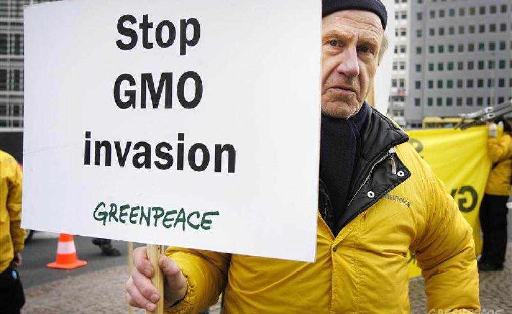 The anti-GM food campaign celebrates 20 years of success - but we can't ...