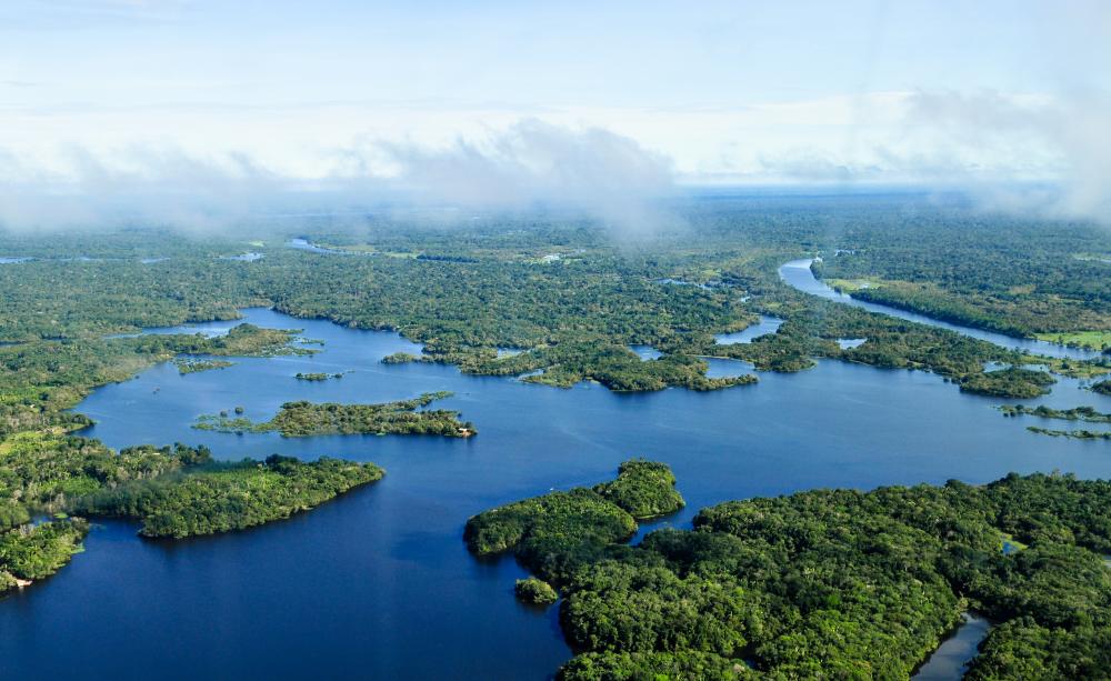 Agroforestry in the Amazon