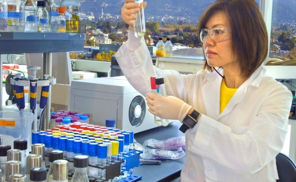 Oil: $30-35 per barrel. Synthetic biology diesel: $3,180 to $7,949 per ...