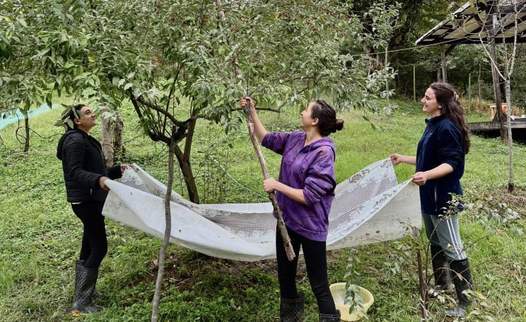 how much does a ecologist make